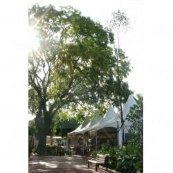 Tanglin Village - 新加坡旅遊 | U Travel